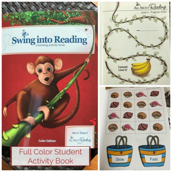 Meet the New, Improved All About Reading! | Homeschooling with Dyslexia