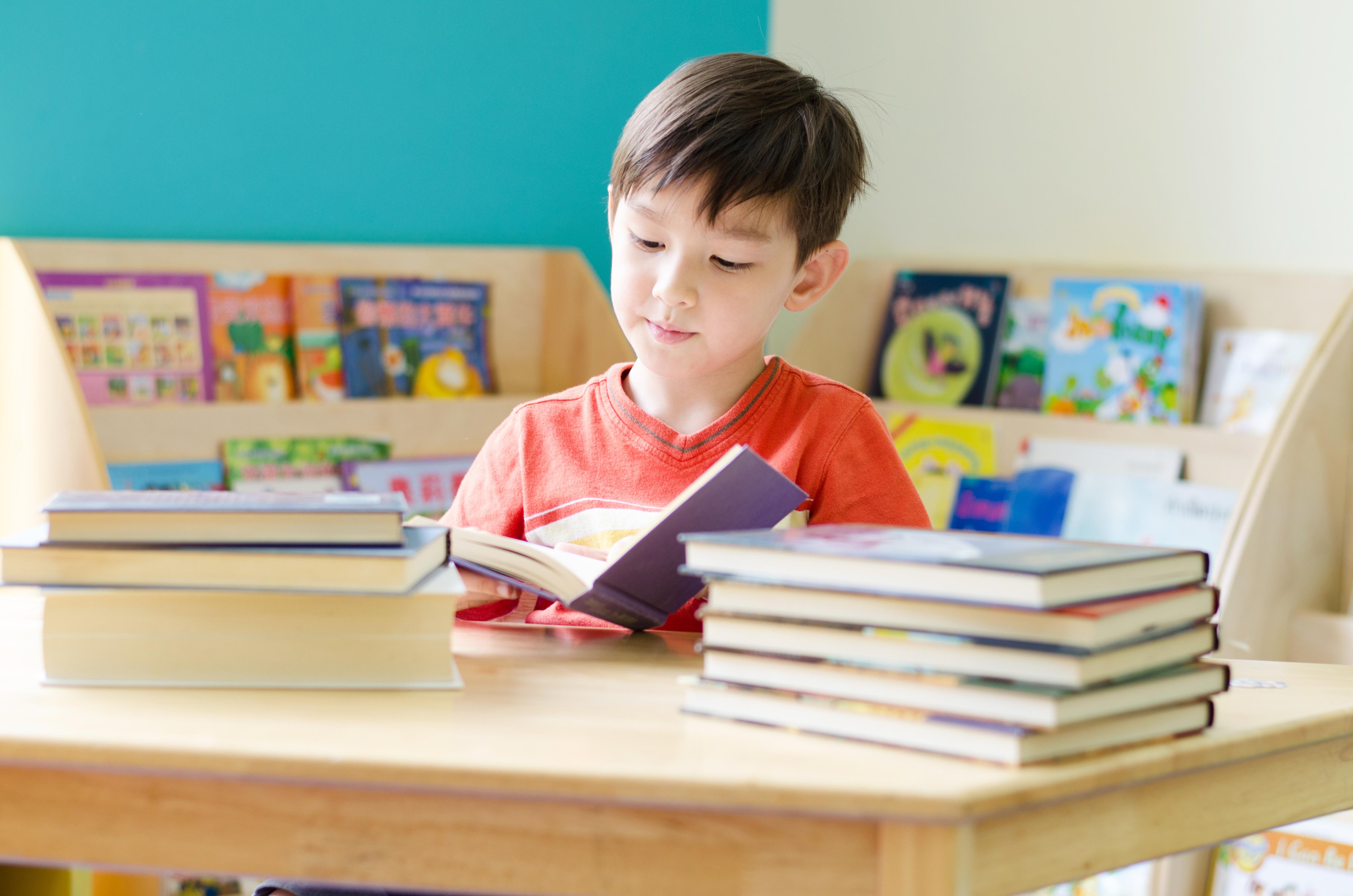 Choosing Homeschool Curriculum A Grade By Grade Guide Homeschooling Choosing Homeschool Curriculum A Grade By Grade Guide Homeschooling