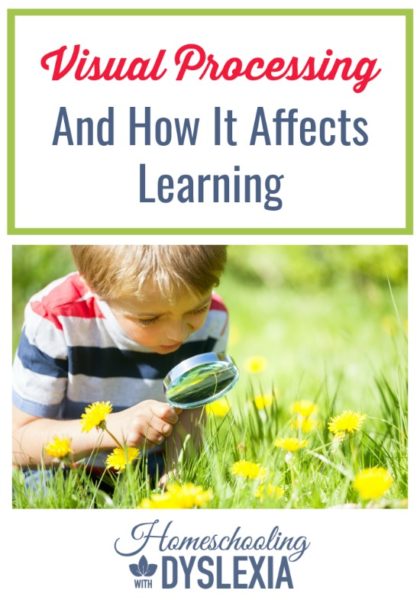 Visual Processing and How it Affects Learning | Homeschooling with Dyslexia