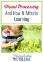 Visual Processing and How it Affects Learning | Homeschooling with Dyslexia