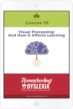 Visual Processing and How it Affects Learning | Homeschooling with Dyslexia